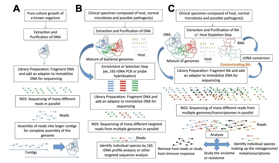 tNGS和mNGS的区别-CTI华测检测官方商城